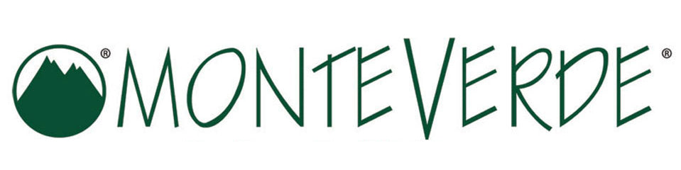 Monteverde Fountain Pens