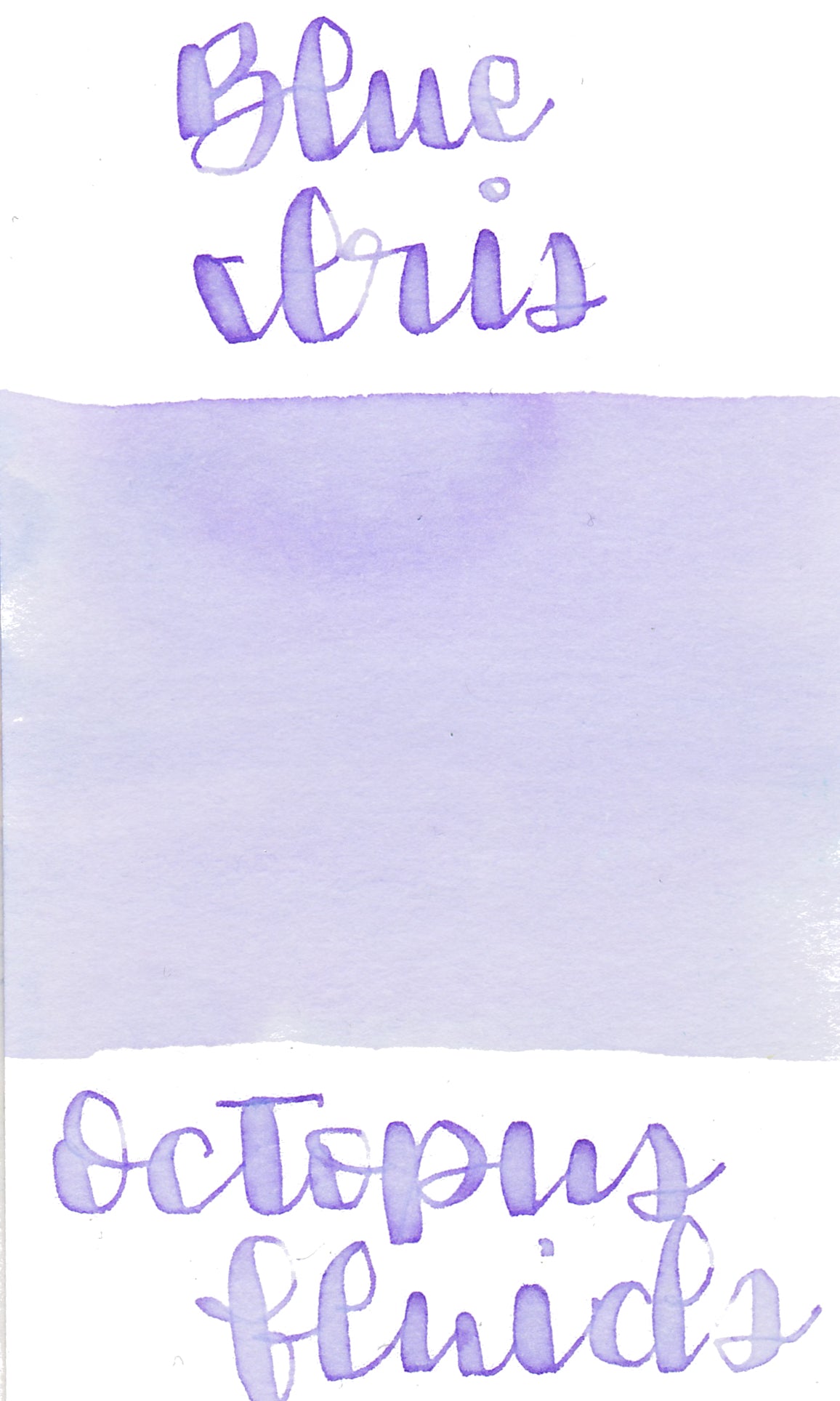 Octopus Blue Iris Ink